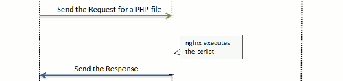 Adjusting Nginx Settings For Virtual Hosts Plesk Obsidian Documentation